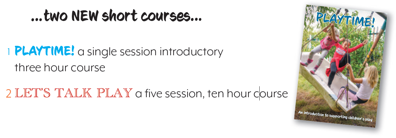 Short courses to support HAF-funded Playwork provision – The Playwork ...